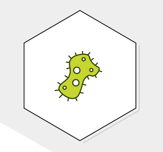 Testing Services – Green Analytics