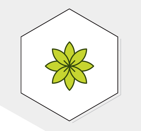 Testing Services – Green Analytics